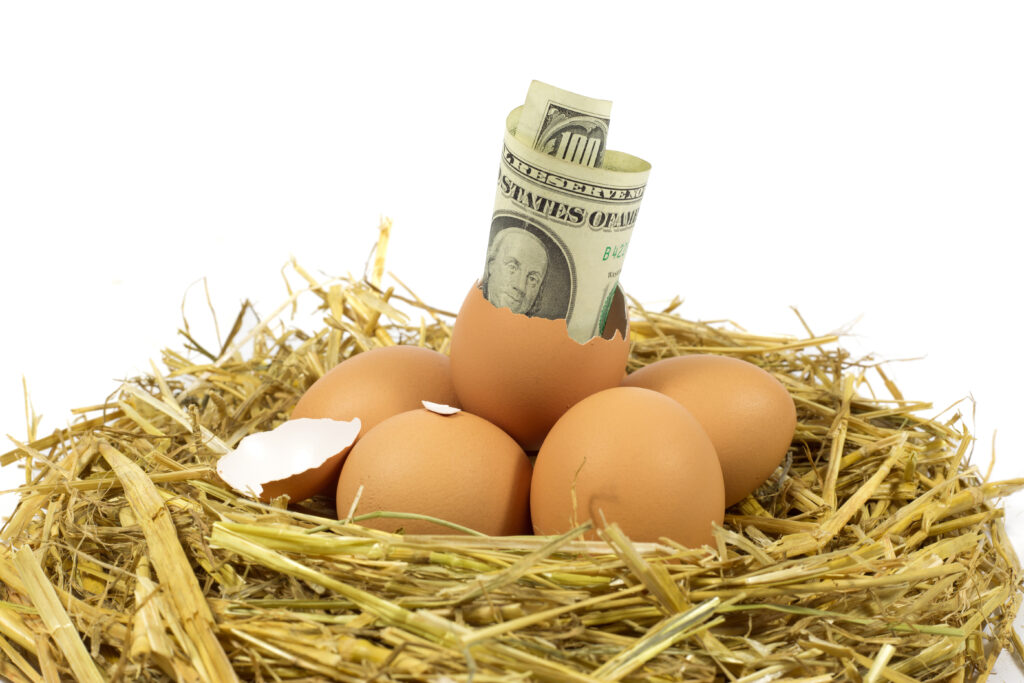 Webinar Replay: Last Paycheck vs. First Retirement Check - FedImpact ...